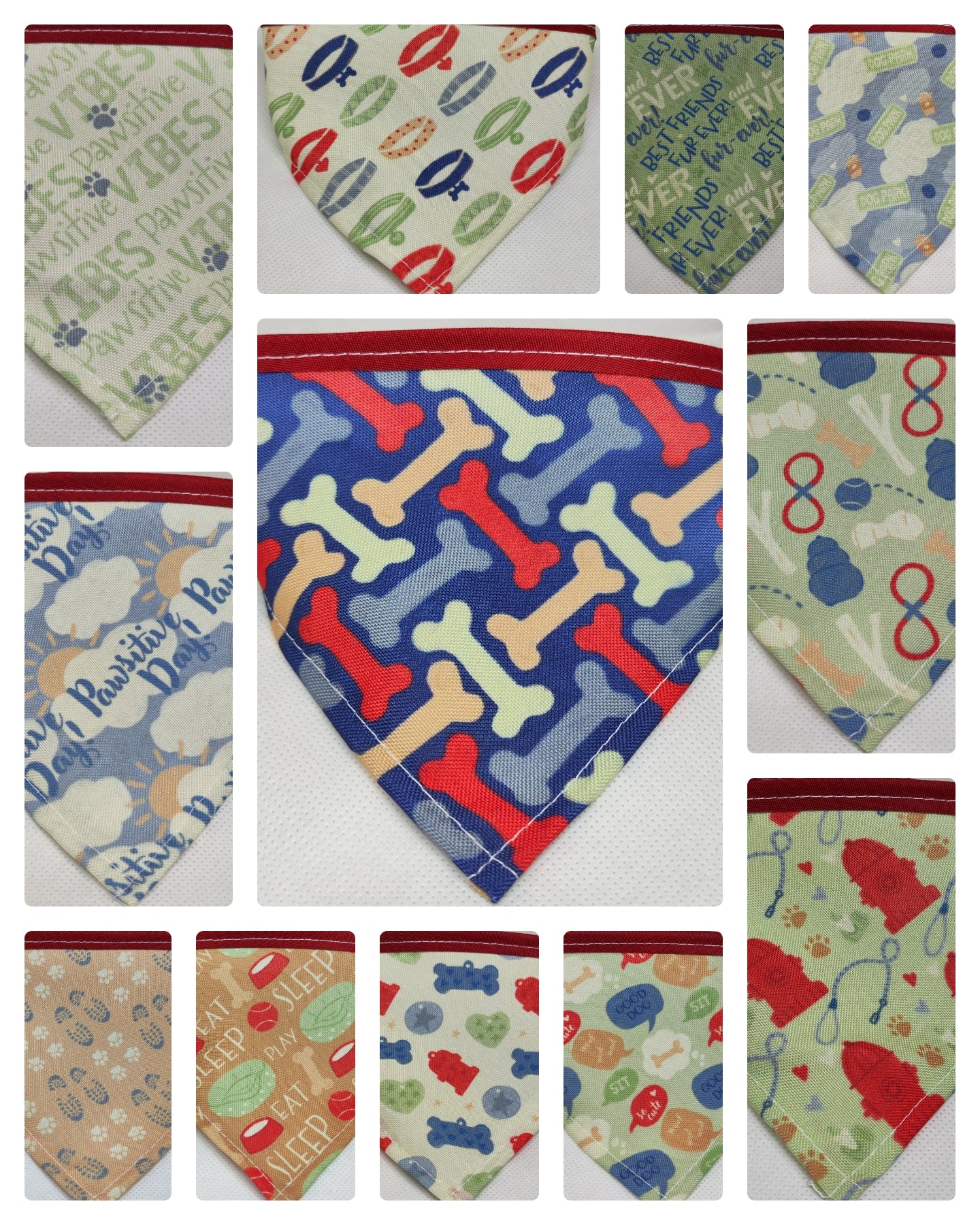 City Dog – ROM paliacates