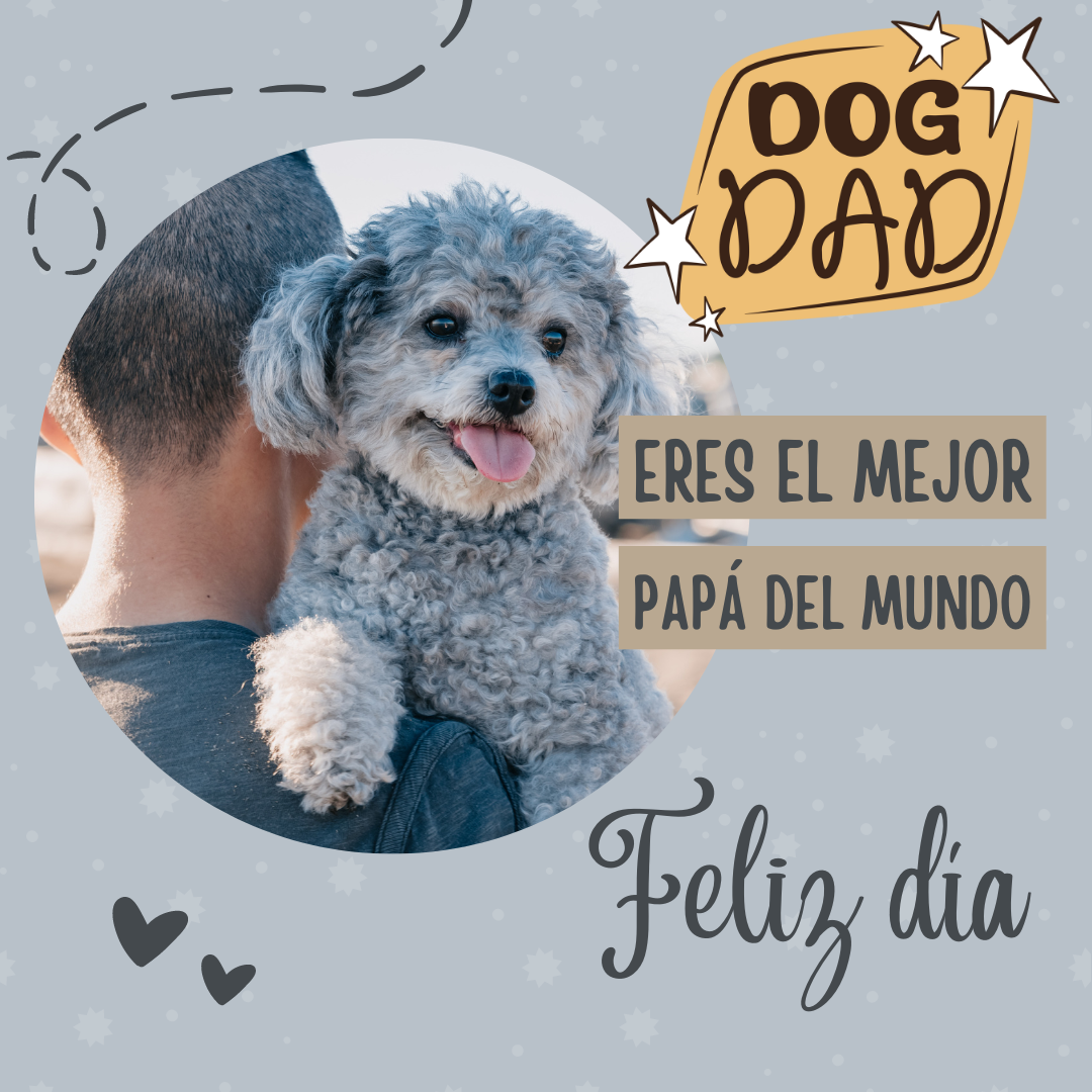 Paquete Papá – ROM paliacates