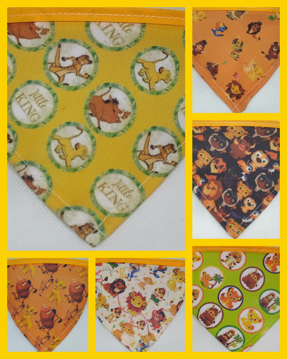 Rey León – ROM paliacates